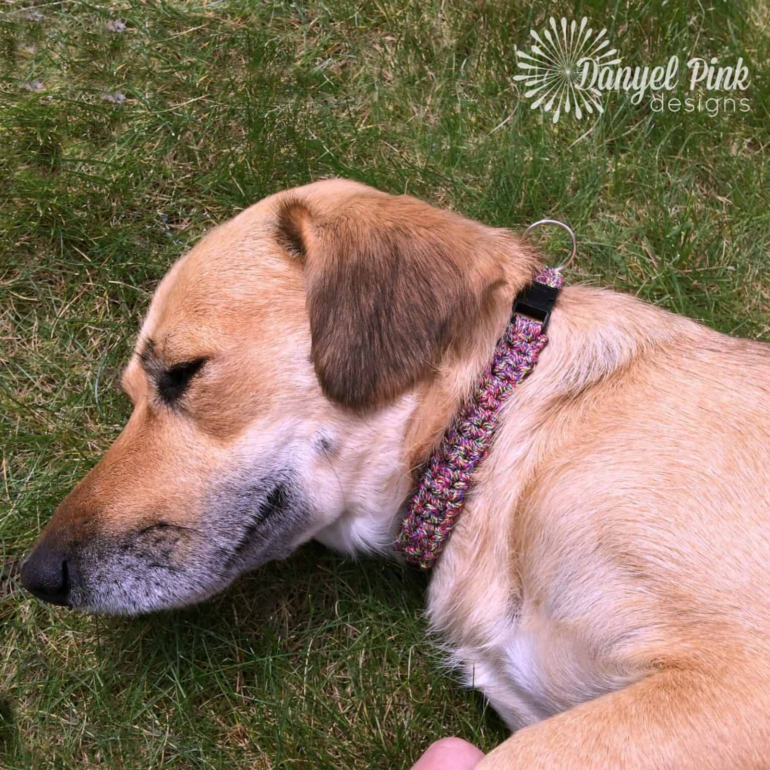 15 Crochet Pet Patterns - JustCraftingAround